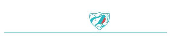 Home | The Law Offices of Robin S Stith – Robin Stith Law